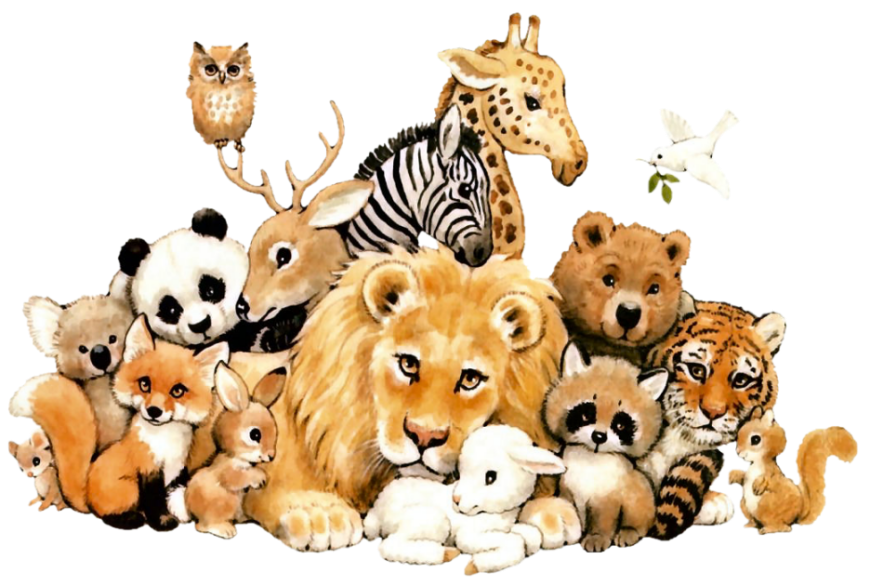 Communiquer avec vos animaux - Webilife
